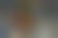 Swashbuckling Bedrooms : Steve Kuhl