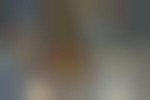 Swashbuckling Bedrooms : Steve Kuhl