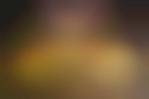 Two-Faced Sandwiches : Le Double Mix