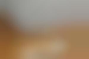 Cat-Shaped Cameras : Necono Digital Camera