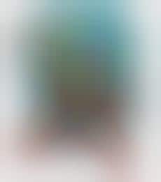 Tatted Animal Illustrations : Ian Macarthur