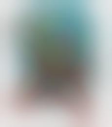 Tatted Animal Illustrations : Ian Macarthur