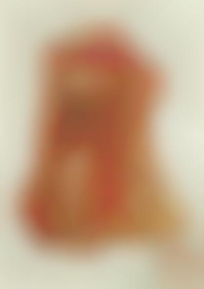 Doggy Treat Mosaics : sm store ads