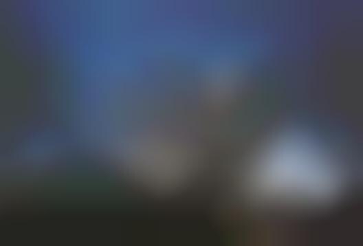 65 Upside-Down Concepts