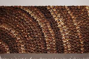 Seed Casing Artwork : Aus Eco Art