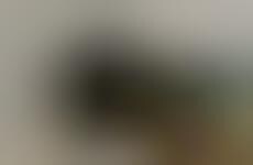 Modern Fresco Paintings : fresco painting