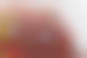 Coffee Shop Fruit Shakes : Tim Horton's Smoothies