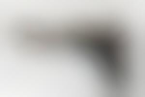 Floral Firearms : kate bauman