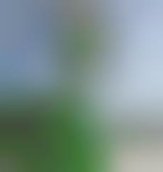 Floral Wind Turbines : Power Flower