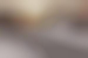 Serene Winterscapes : Dmitry Savin