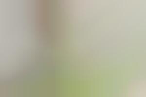 Magnificent Mosaic Dresses : Julie Richey