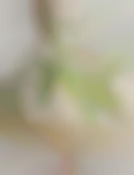 Magnificent Mosaic Dresses : Julie Richey