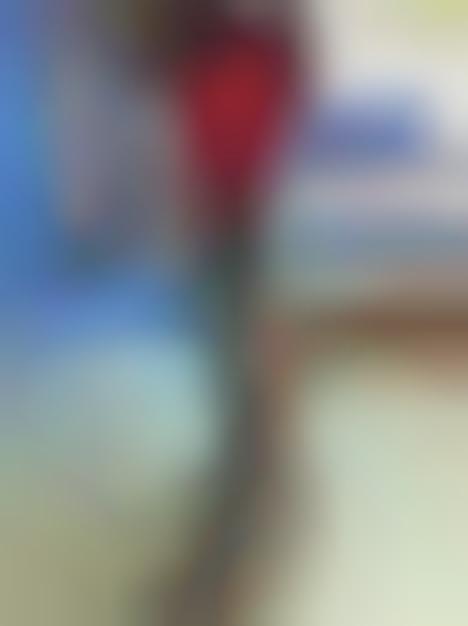 Robotic Prothesis Artwork : Terminator Leg