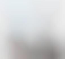 Mock Celebrity Mirrors : Press Conference Mirror