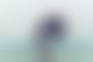 Softly Shot Photography : Andoni Beristain