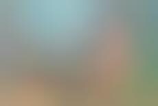 Fleshy Layer Figurines : Anatomical Nesting Dolls