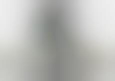 Vertical City Farms : Dallas Skyfarm