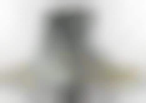 Vertical City Farms : Dallas Skyfarm