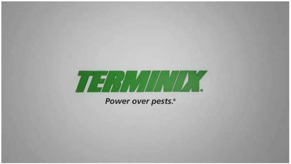 House Demolishing Monster Ads Terminix commercial