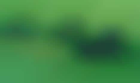 Seed-Grown Seating : Nature Made Chairs