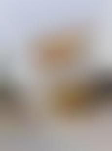 Z-Shaped Homes : Prahran House