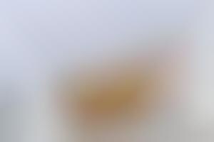 Z-Shaped Homes : Prahran House