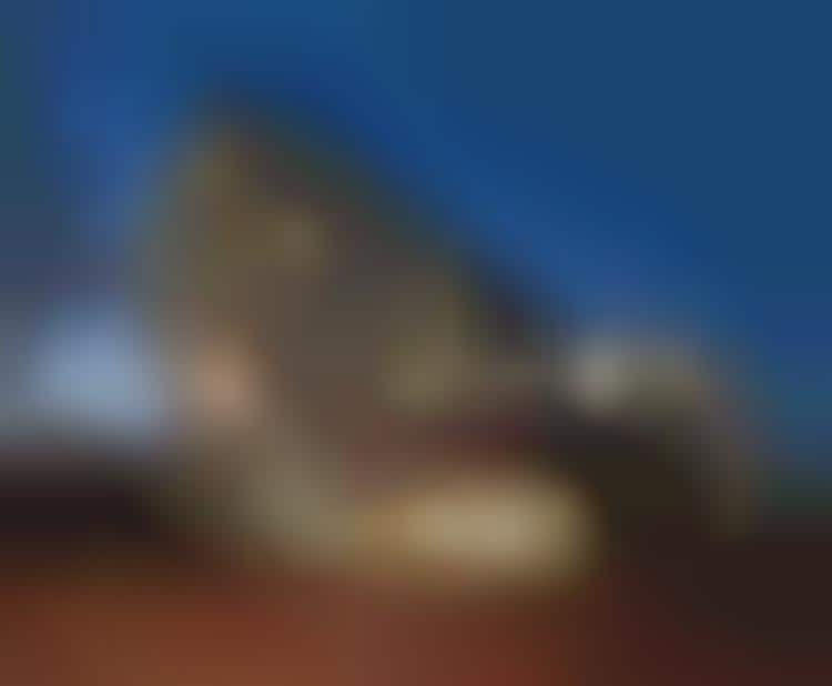 70 Irregular Architecture Designs