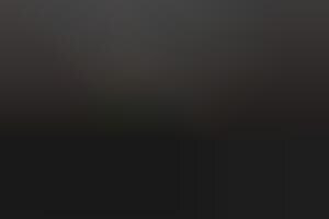 $820,000 Handmade Rifles : VO Falcon Edition