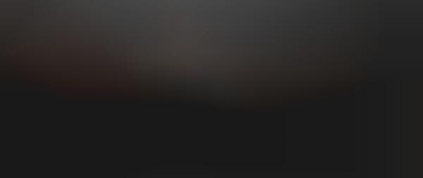 $820,000 Handmade Rifles : VO Falcon Edition