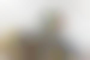 Green Jungle Gyms : Nature Energy Park