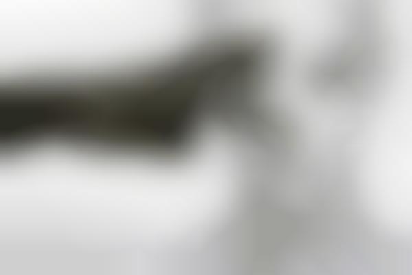 Ebony-and-Ivory Photography : The Blackening