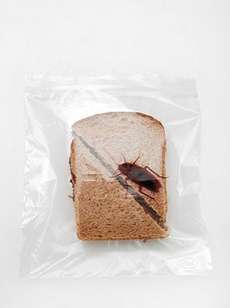 Thievery-Thwarting Sandwiches : Lunch Bug Sandwich Bags