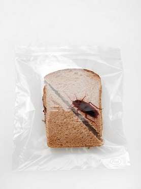 Thievery-Thwarting Sandwiches : Lunch Bug Sandwich Bags