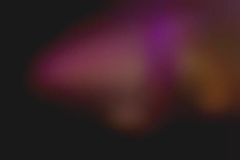 Squiggly Neon Lights : DNA Lighting