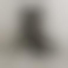 Aged Animal Photography : Elderly Animals