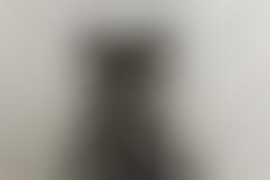 Aged Animal Photography : Elderly Animals