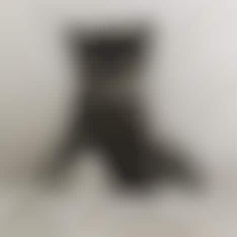 Aged Animal Photography : Elderly Animals