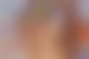 Embroidered Fashion Mags : Inge Jacobsen