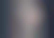 Silver Snowflake Spreads : Queen by Bronwyn Kidd