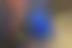 Two-Foot Tablets : Lenovo 23 inch tablet