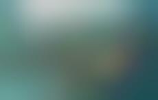 Candid Carefree Photography : Heather Favell