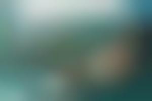 Candid Carefree Photography : Heather Favell