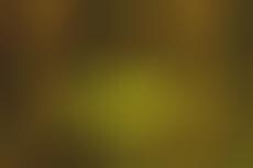 Hilarious Cash Cards : bevmo! gift cards