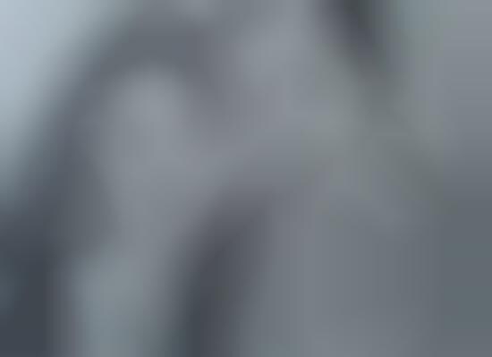 Human Ash Portraits : ash portraits