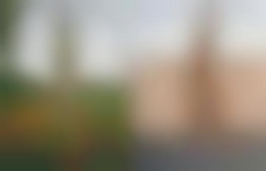 26 Totem-Inspired Objects