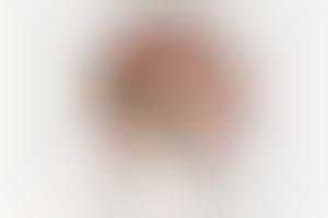 Meat-Inspired Home Decor: Furniture Looks Like Skinned Animals