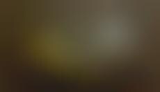 $30,000 Remote Control: Pure Gold With Functional Charisma