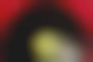 Records As A Canvas: Vinyl Art by Daniel Edlen