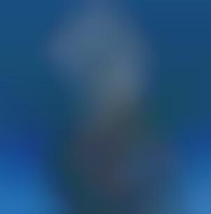 Top 42 Functional Shoes