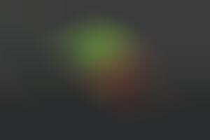 See-Through Cell Phone: WYSIWYG (What You See Is What You Get) Phone